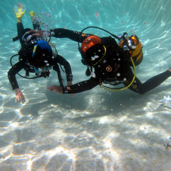 Découvrez la plongée sous-marine - Latitude Plongée
